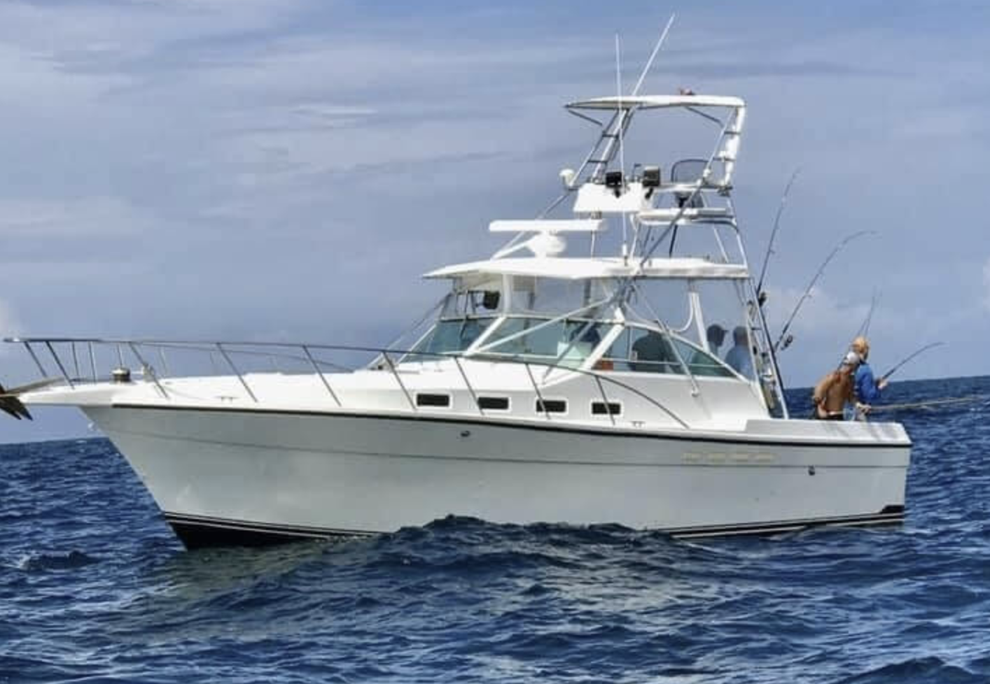 Snapper Species: What’s The Difference?