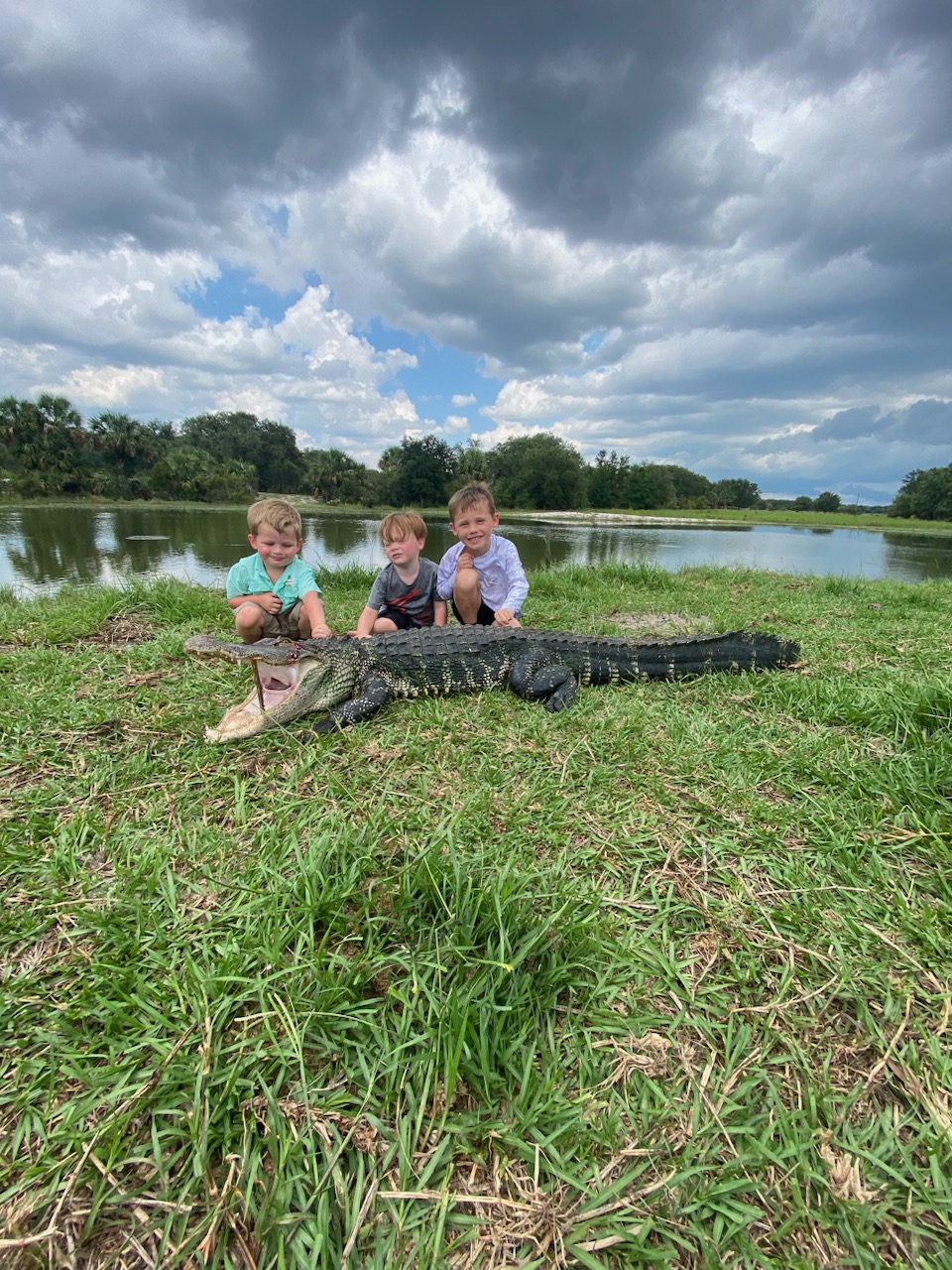 The 15 Best Alligator Hunting Guides