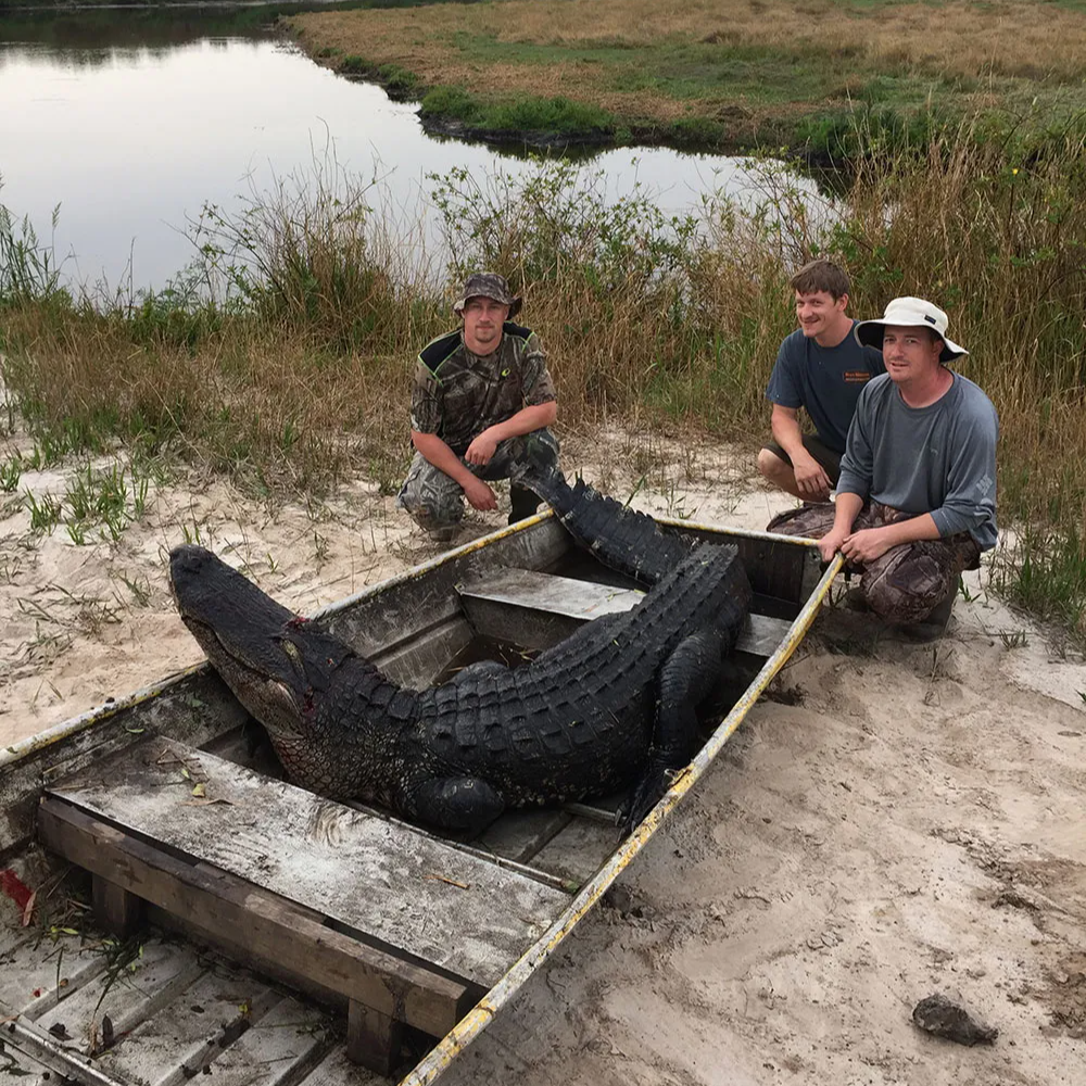 The 15 Best Alligator Hunting Guides