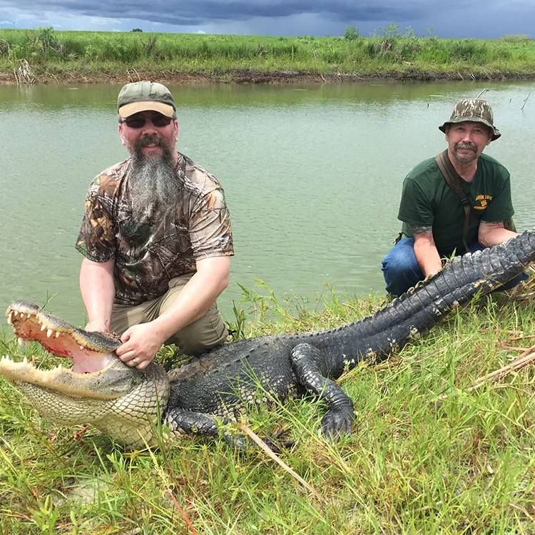 The 15 Best Alligator Hunting Guides