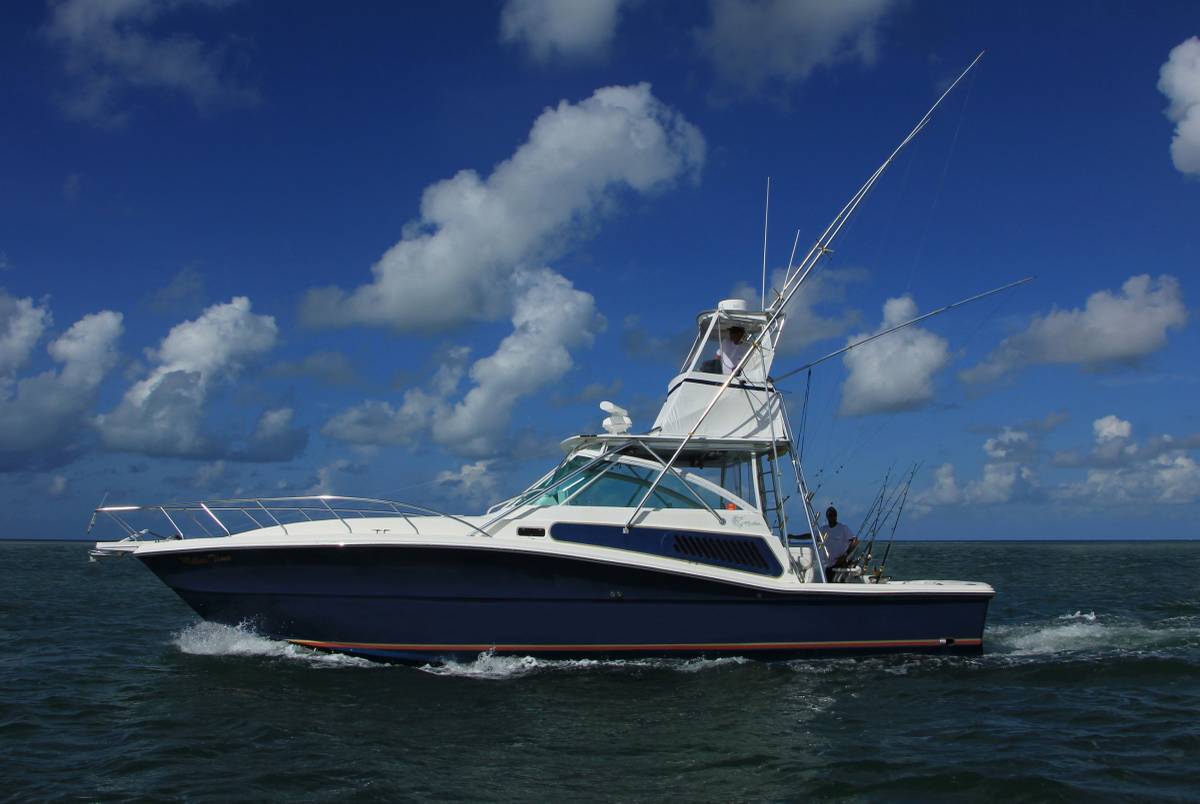 Everything You Need To Know About Amberjack Season 2022