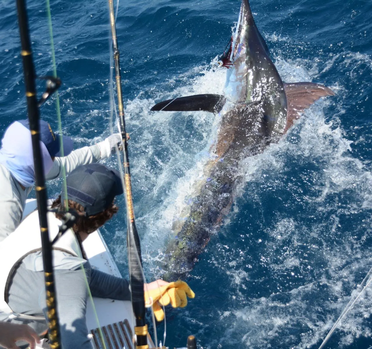 Ecuador Fishing Charters