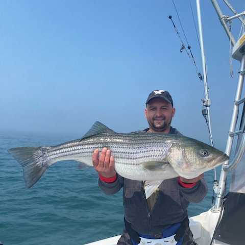 Striped Bass Fishing Charters in the North Atlantic Ocean