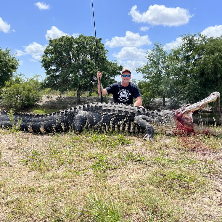 The 15 Best Alligator Hunting Guides
