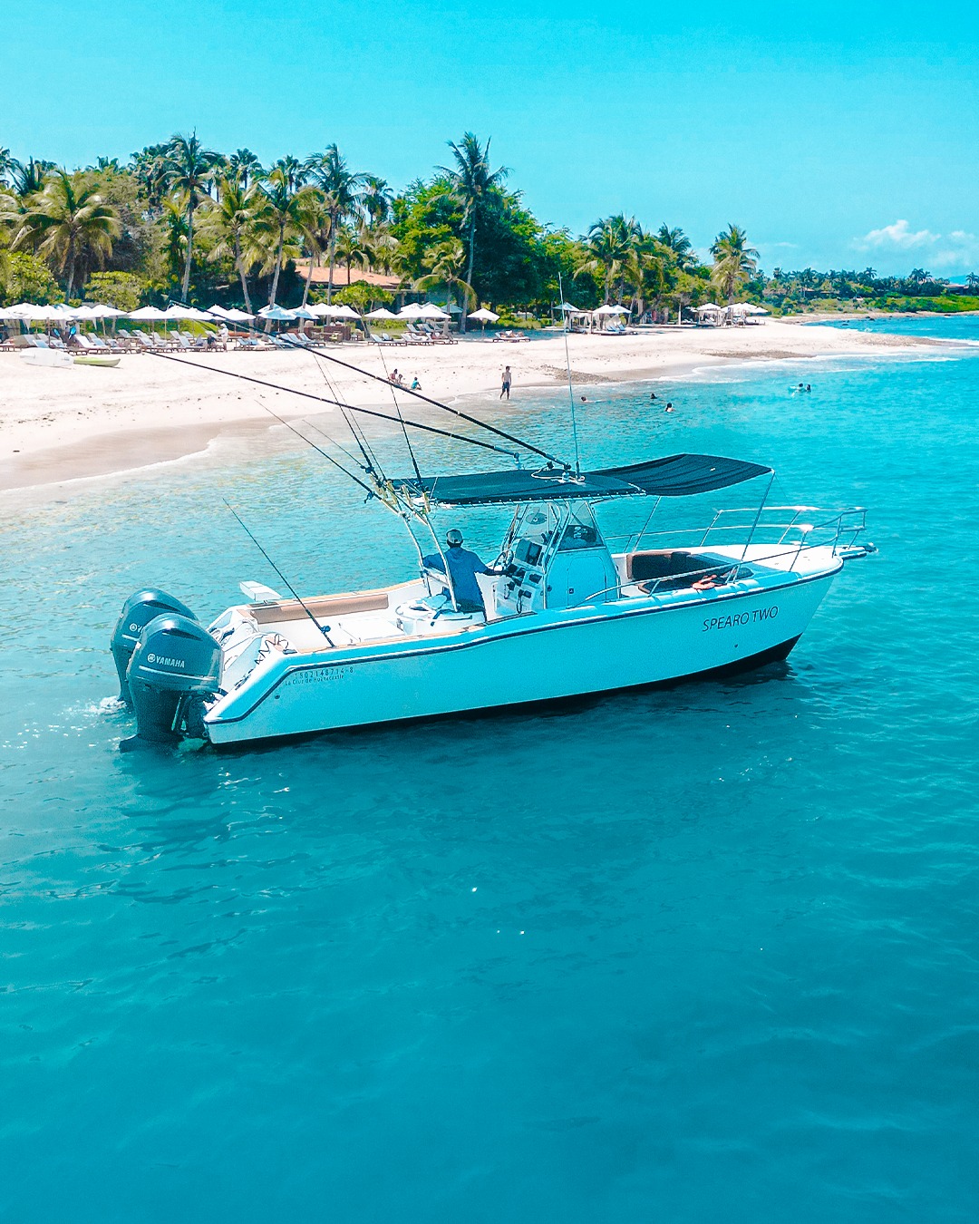 7 Types Of Trevally: Everything You Need To Know