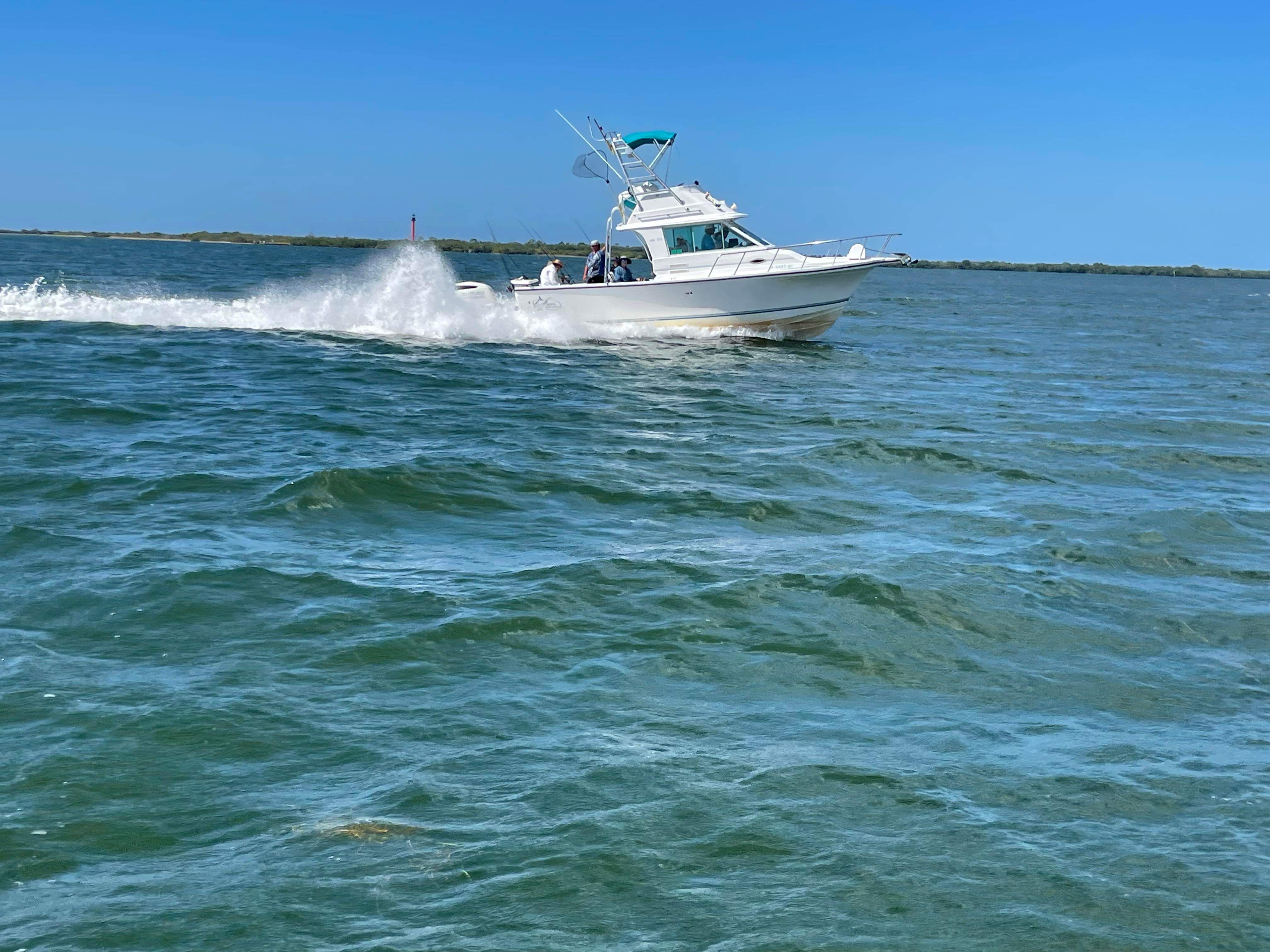 7 Types Of Trevally: Everything You Need To Know