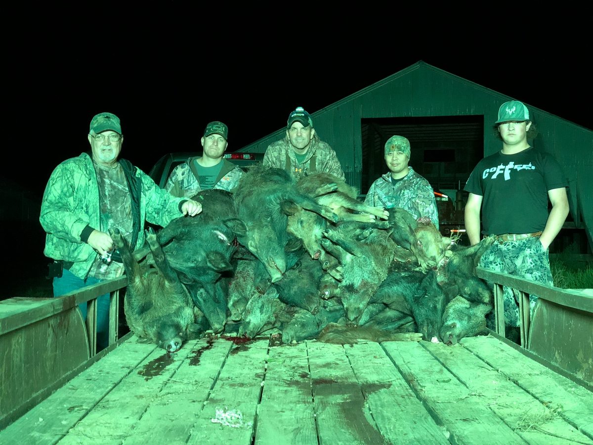 States With The Biggest Wild Hog Problem