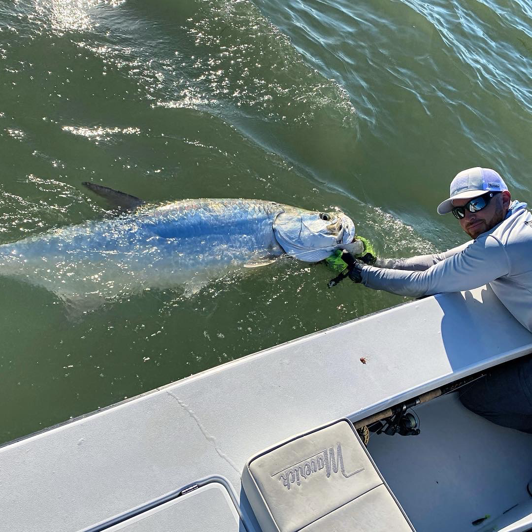 Mako Shark Fishing Charters in Everglades
