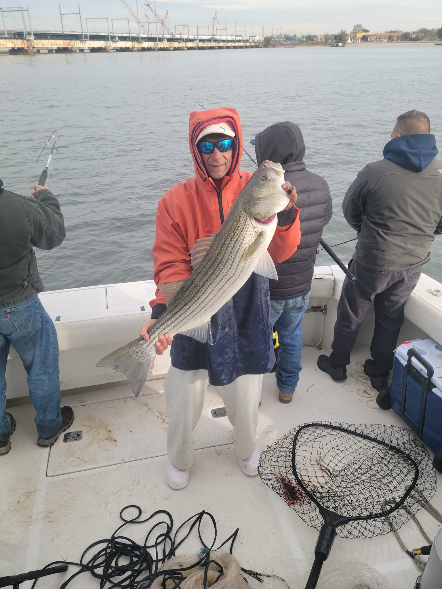 Everything You Need To Know About Yellow Perch