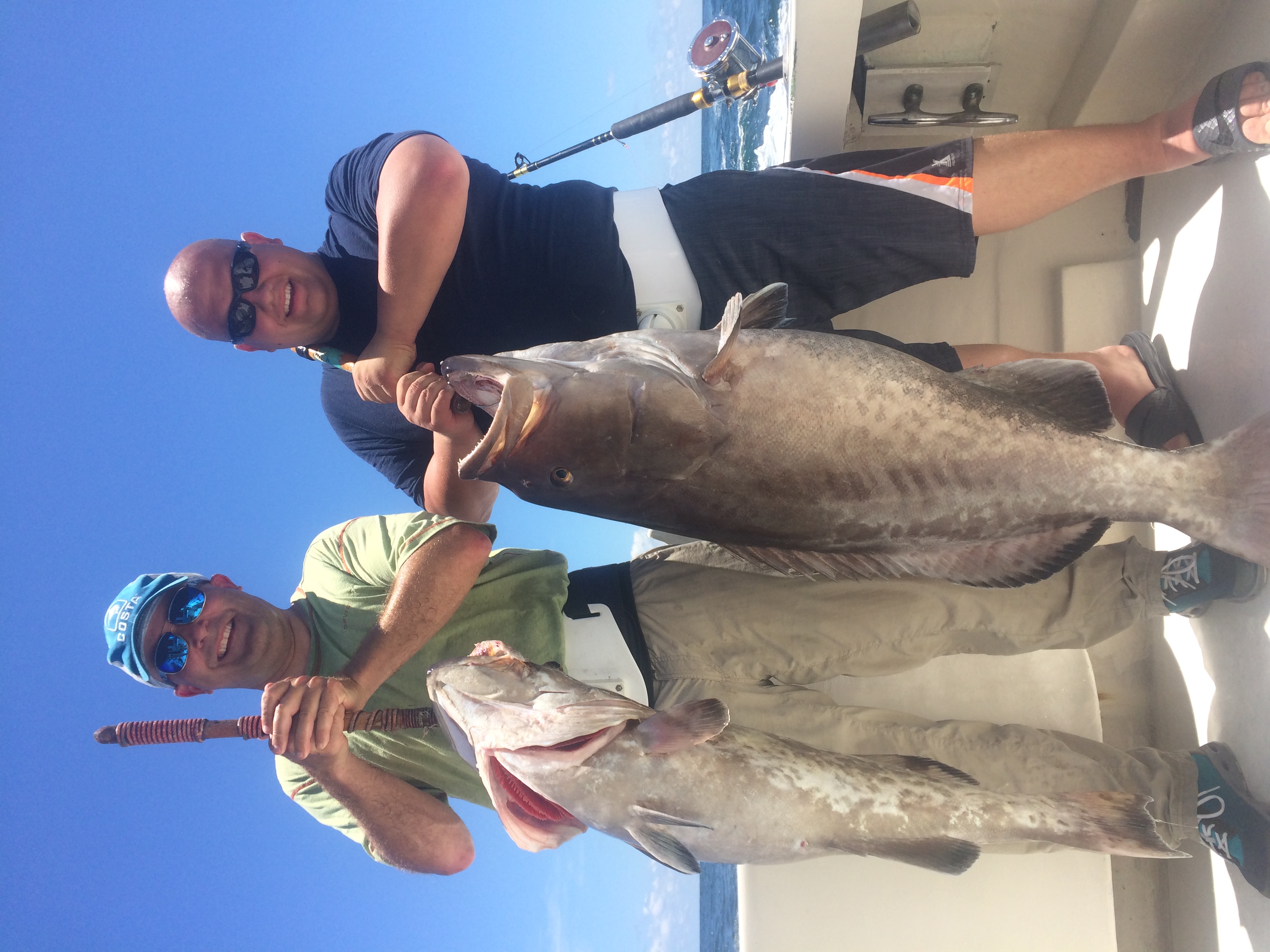 Everything You Need To Know About Grouper Season 2025