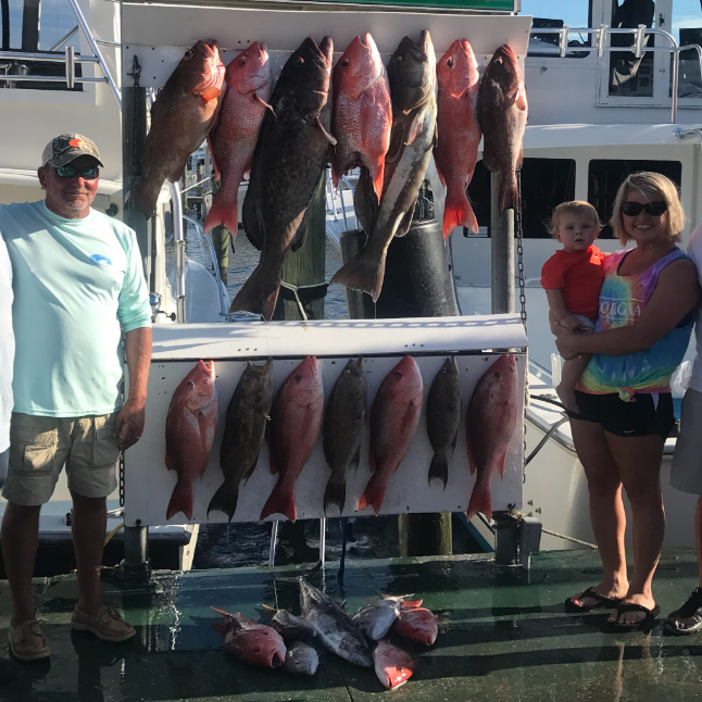 Fish In Destin Florida: Most Popular Species To Catch