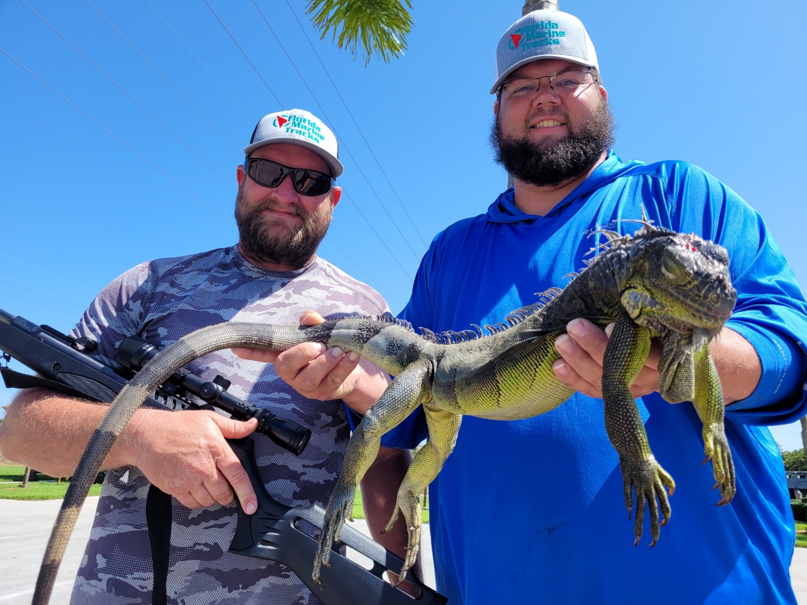 Elite Guided Air Rifle Iguana Hunts In Fort Lauderdale