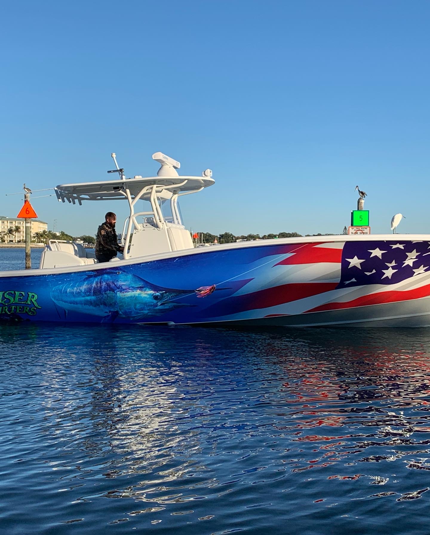 Everything You Need To Know About Triggerfish