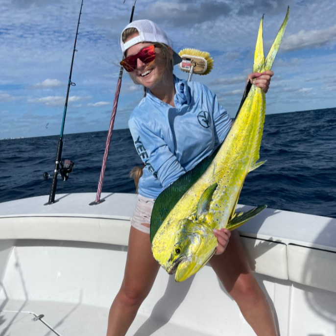 Bonito Vs Skipjack Tuna Vs Little Tunny: What’s The Difference?