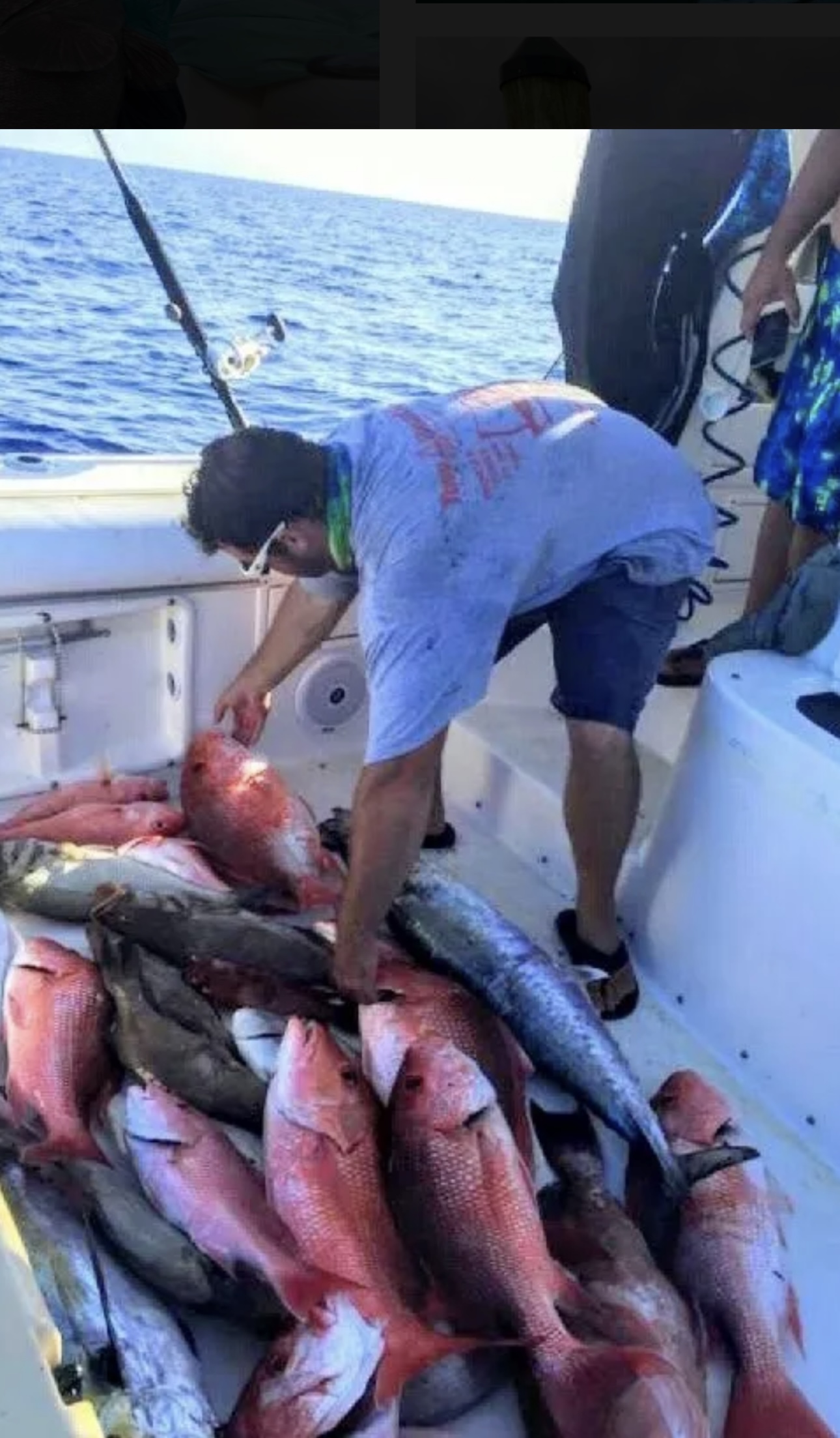 The 15 Best Fishing Charters in Englewood, FL