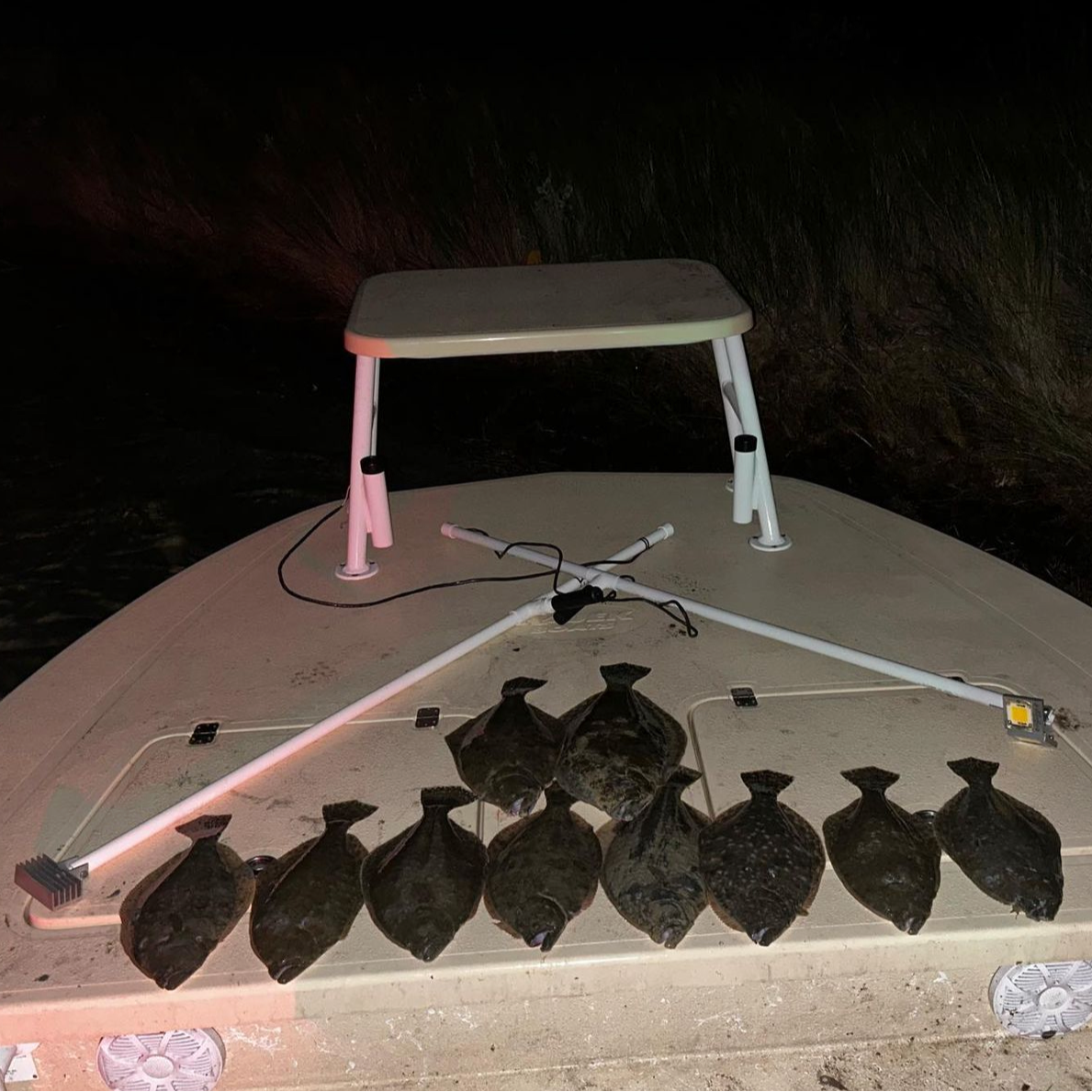 Everything You Need To Know About Texas Flounder