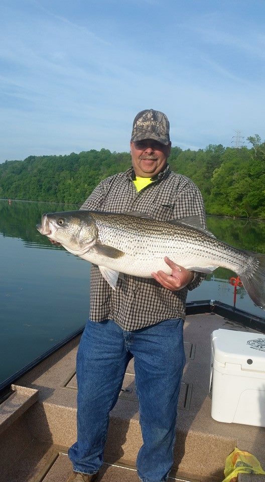 The 15 Best Tennessee Fishing Guides