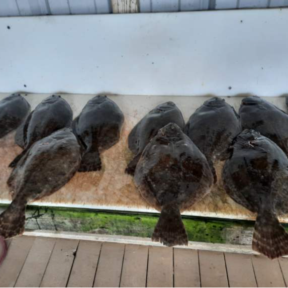 Everything You Need To Know About Texas Flounder