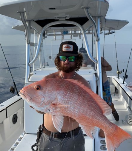 Snapper Species: What’s The Difference?