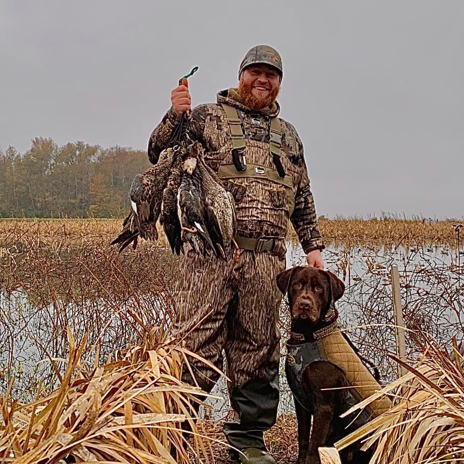 Blue-Winged Teal Hunting Guides in Missouri