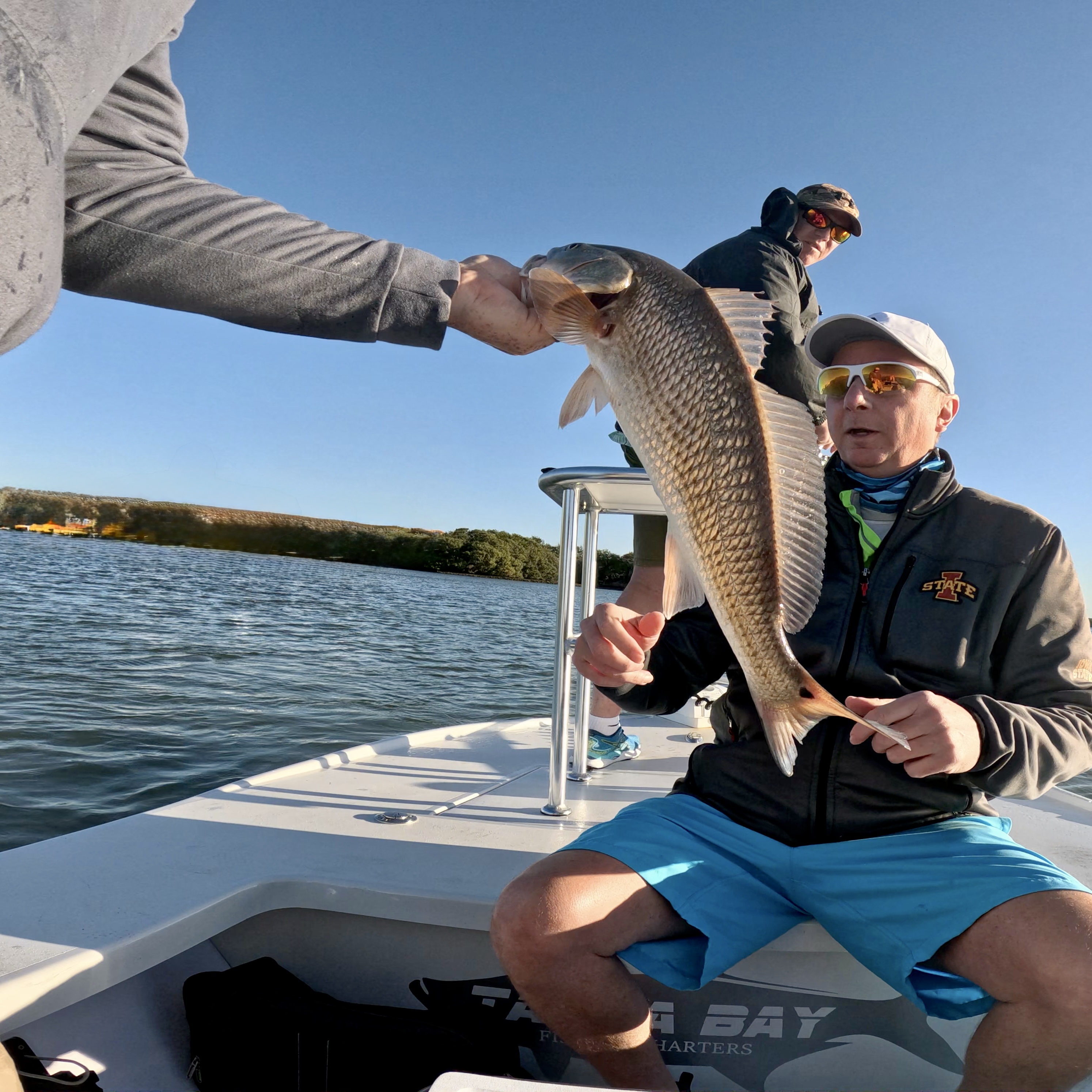 The 10 Most Popular Fish To Catch In Tampa, Florida