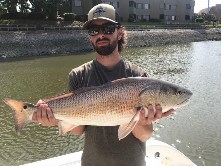 The 10 Most Popular Fish To Catch In Tampa, Florida