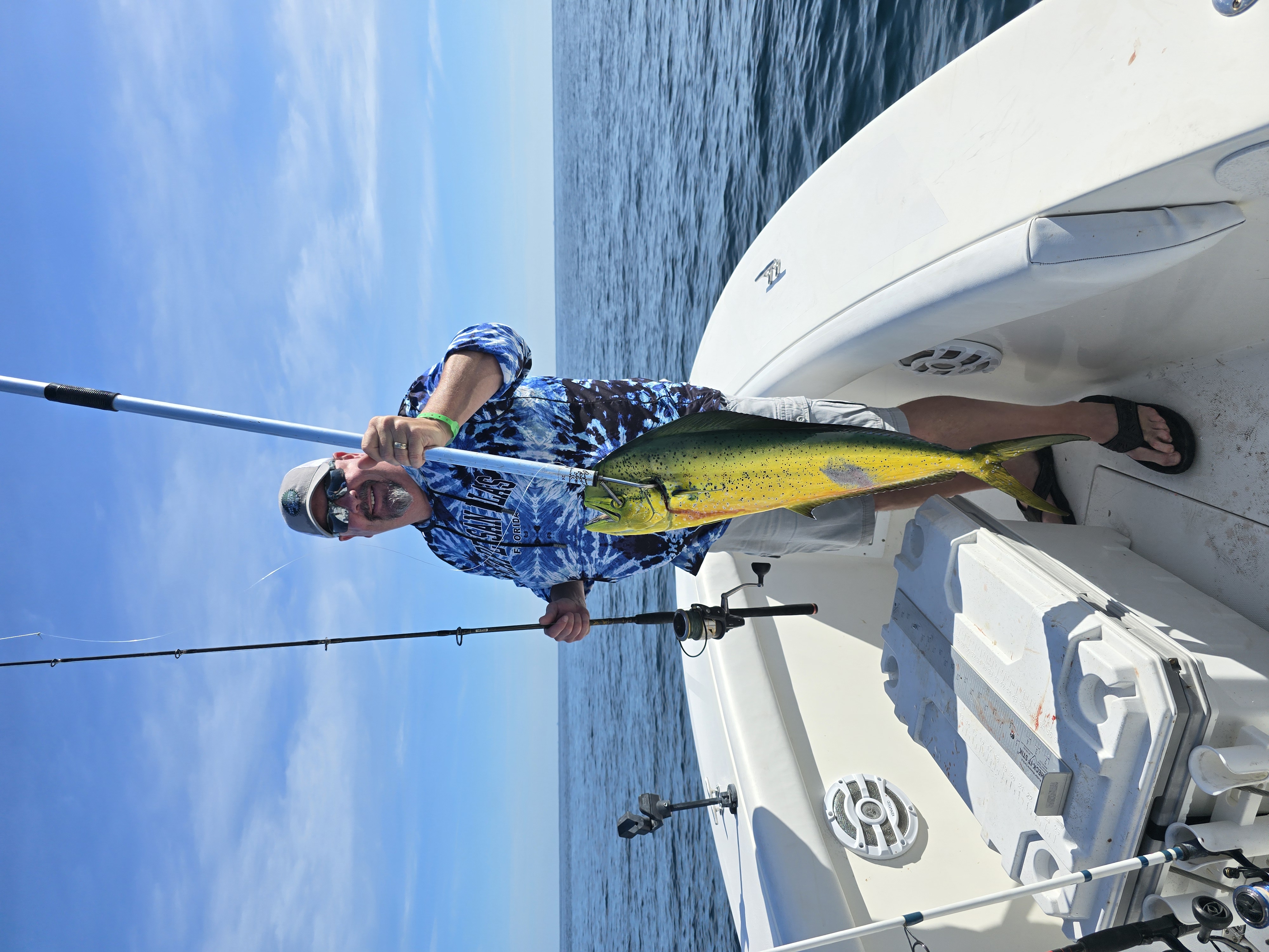 The Difference Between Lesser & Greater Amberjack