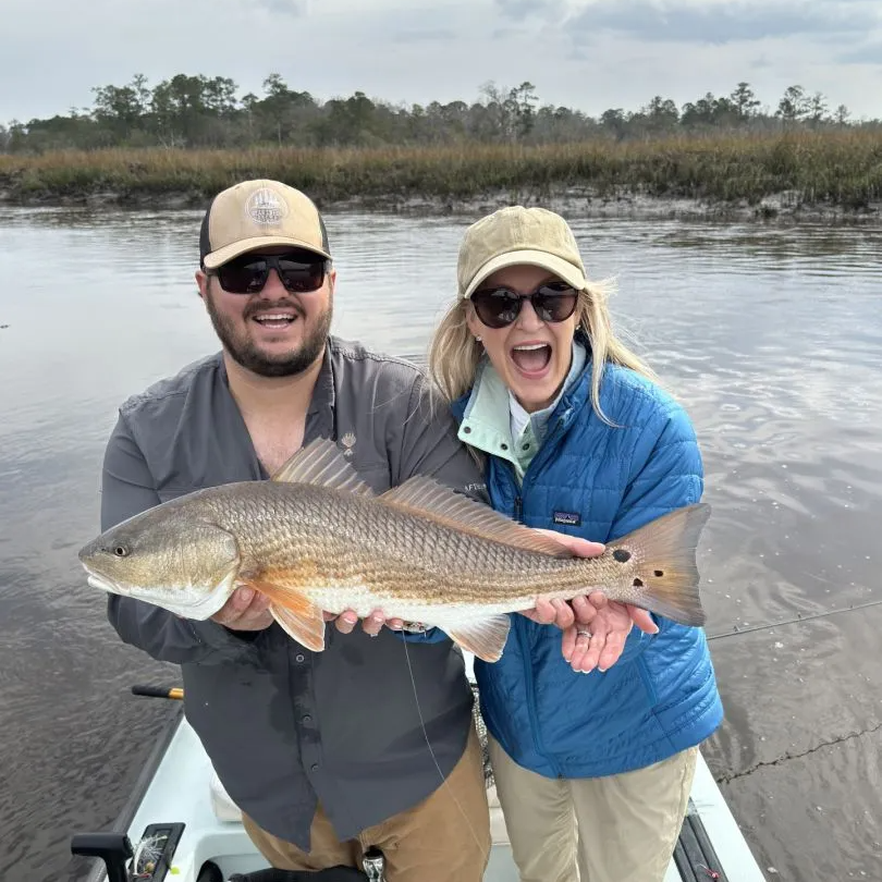 Fields Cut Fishing Charters