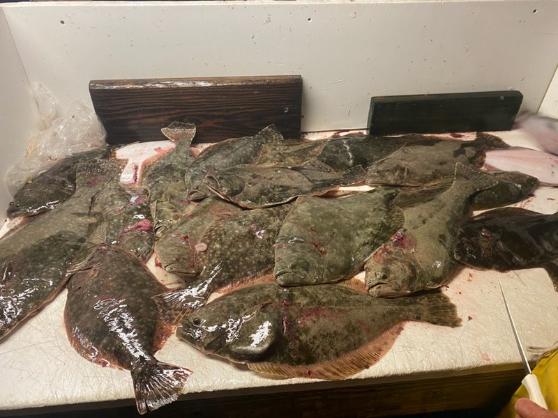 Fishing Techniques: The Beginner's Guide To Gigging