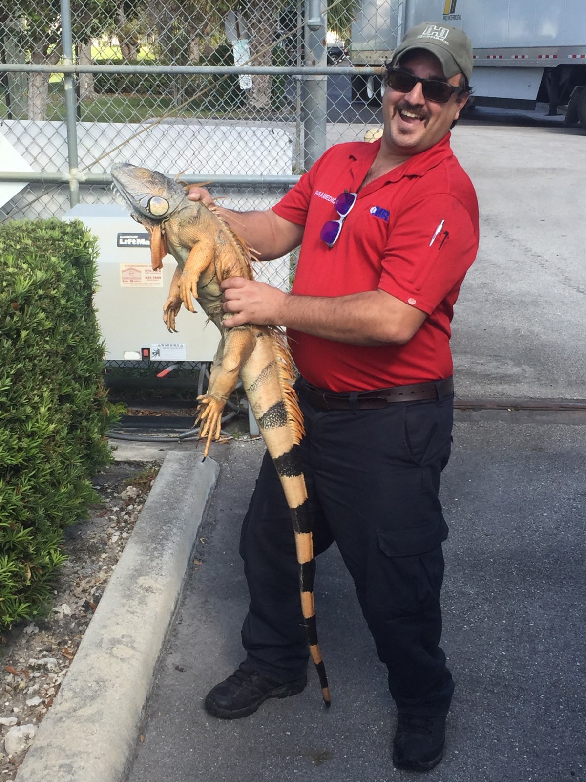 The 15 Best Iguana Hunting Guides in Florida