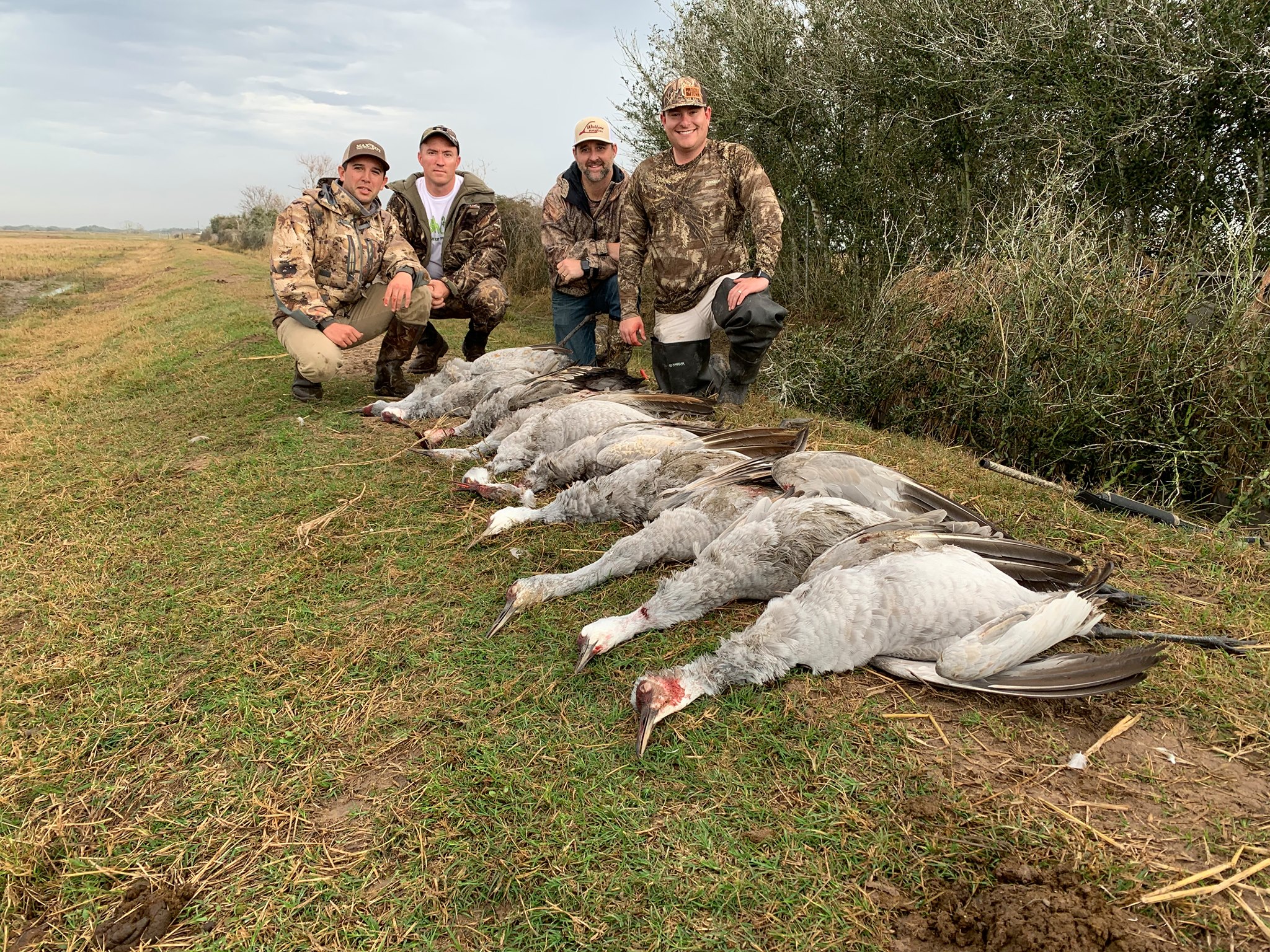 The 10 Best Sandhill Crane Hunting Guides in Texas