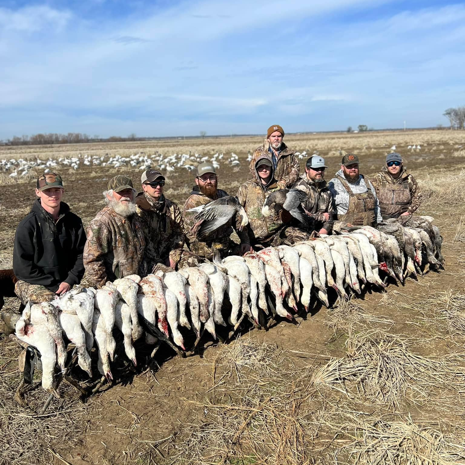 Blue Goose Hunting Guides in Texas