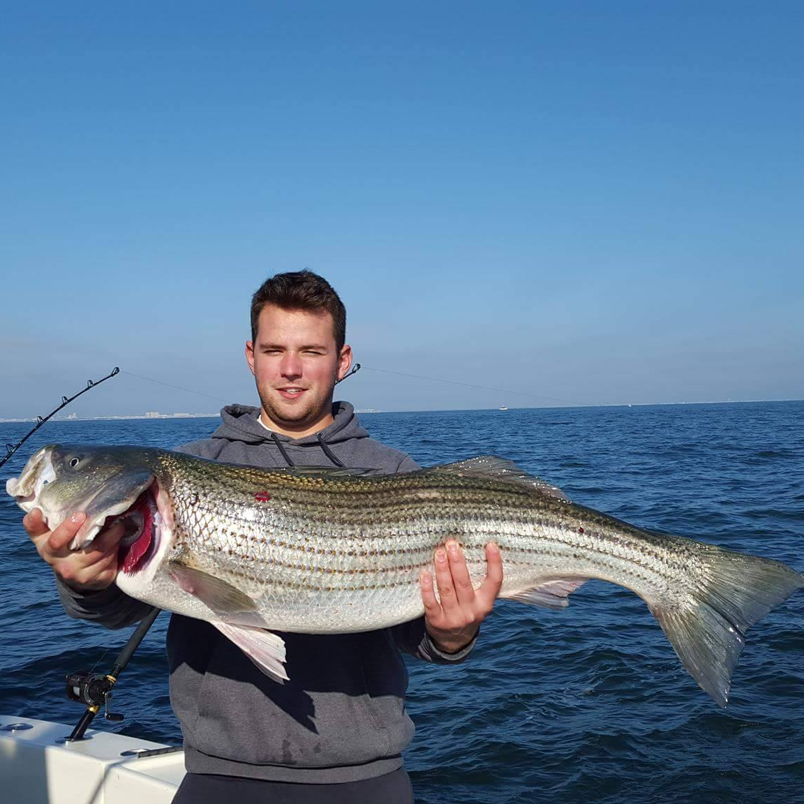 Everything You Need To Know About Yellow Perch