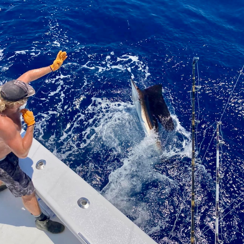 Marathon Fishing Reports (June 2025)