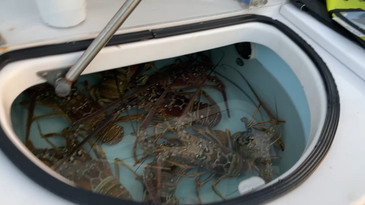 The Ultimate Guide To Deep Sea Fishing