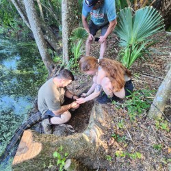 The 15 Best Alligator Hunting Guides