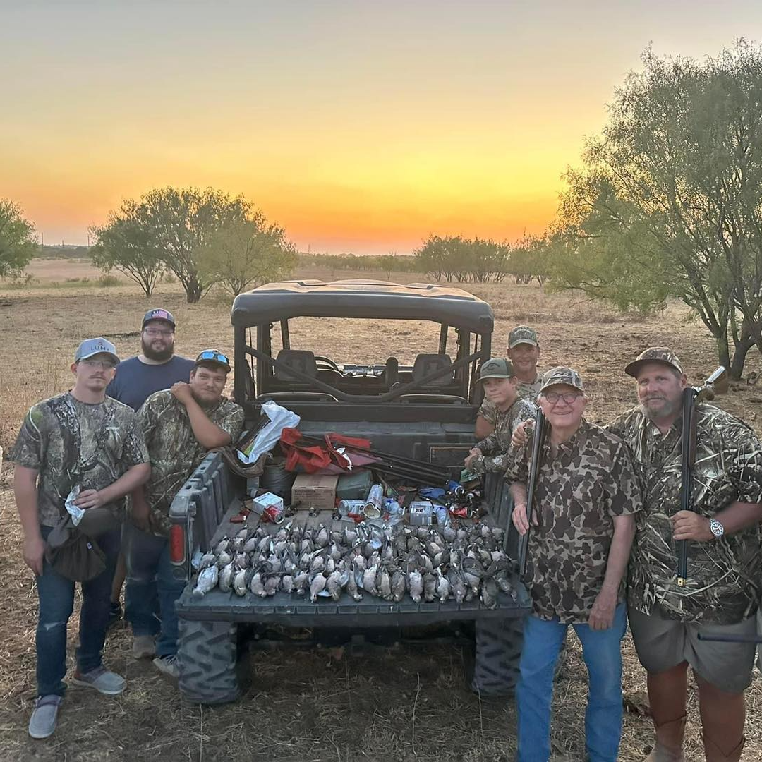 Texas Dove Season: 2024-2025 Hunting Dates & Information