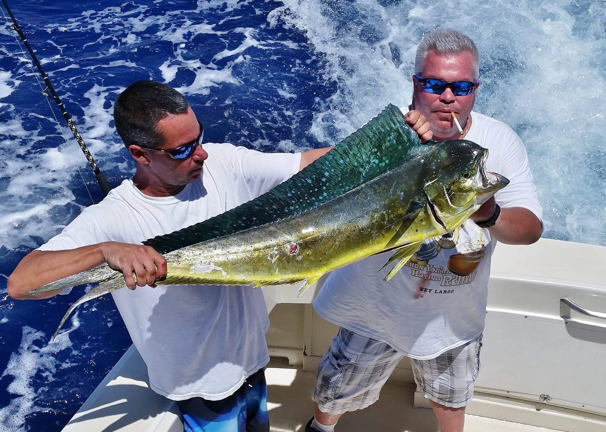 Bonito Fishing Charters in Haulover Inlet