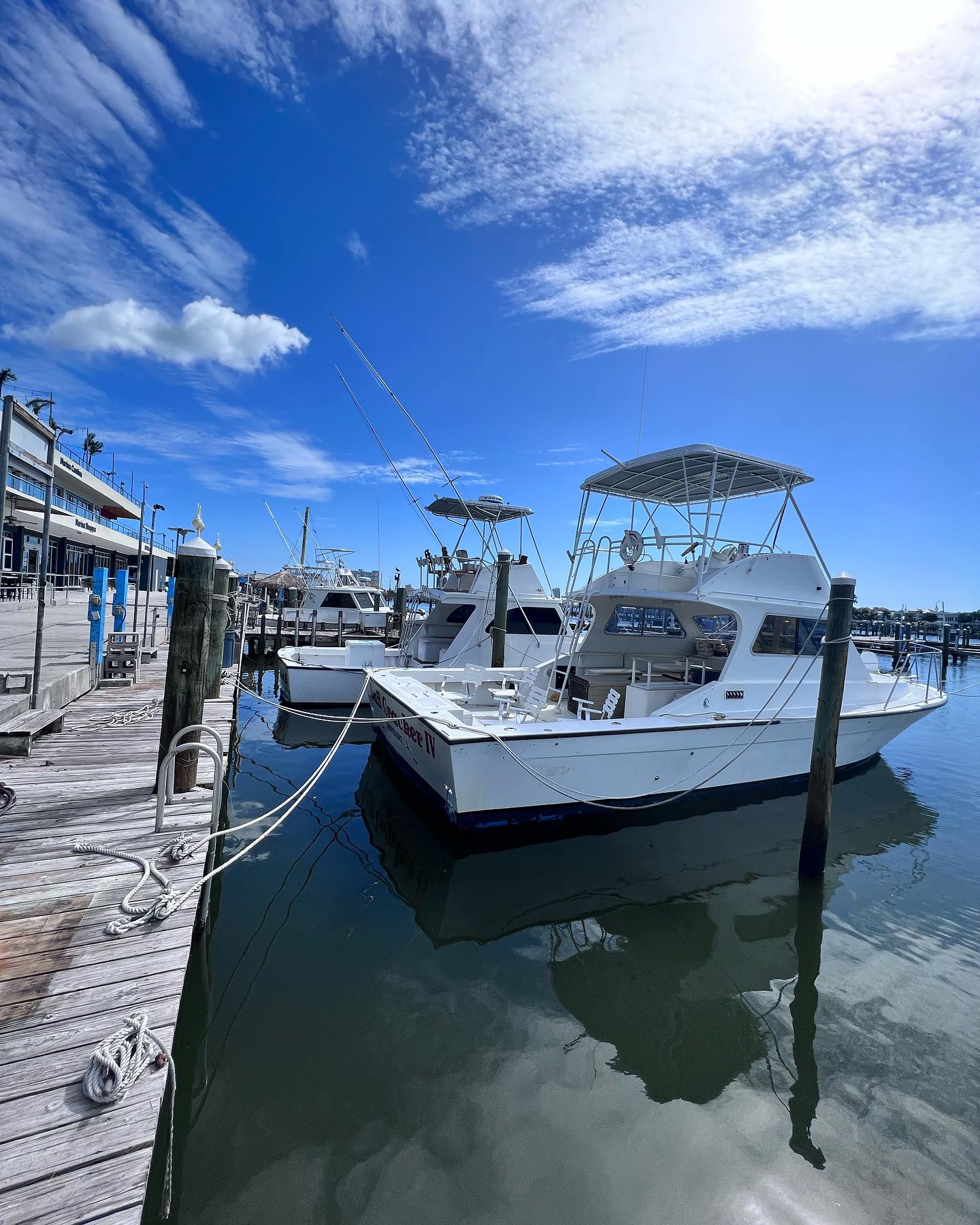 The 15 Best Deep Sea Fishing Charters