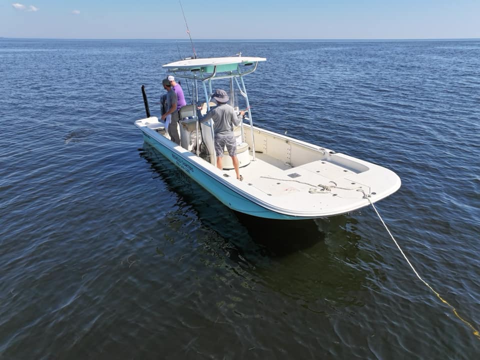 Shell Island Fishing Charters