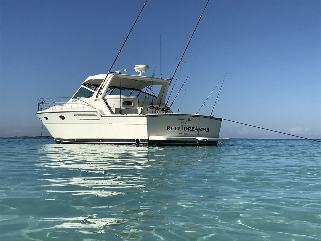Damn Good Bahamas Fishing Charters