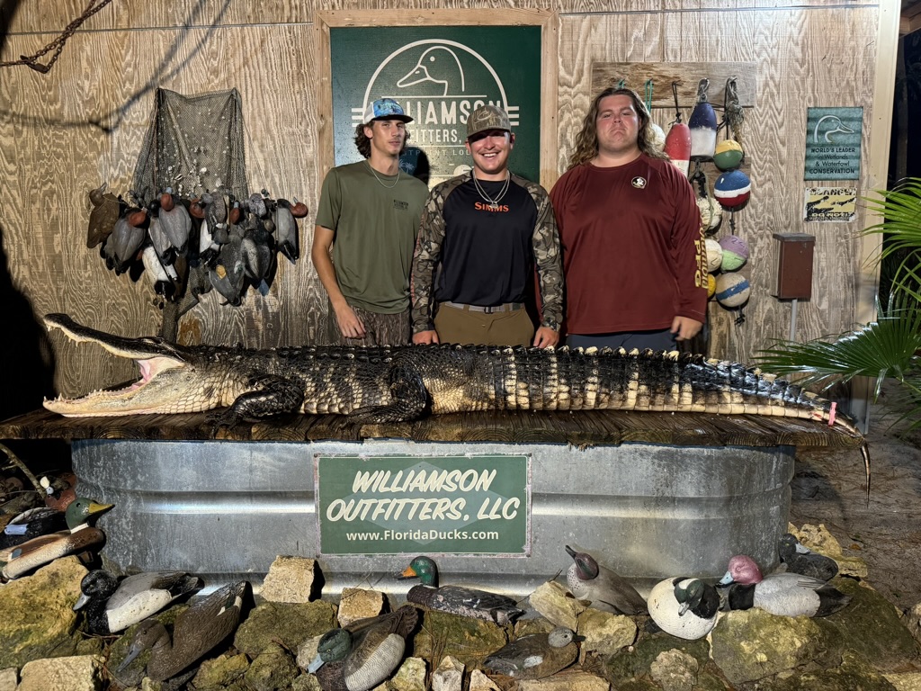 The 15 Best Alligator Hunting Guides