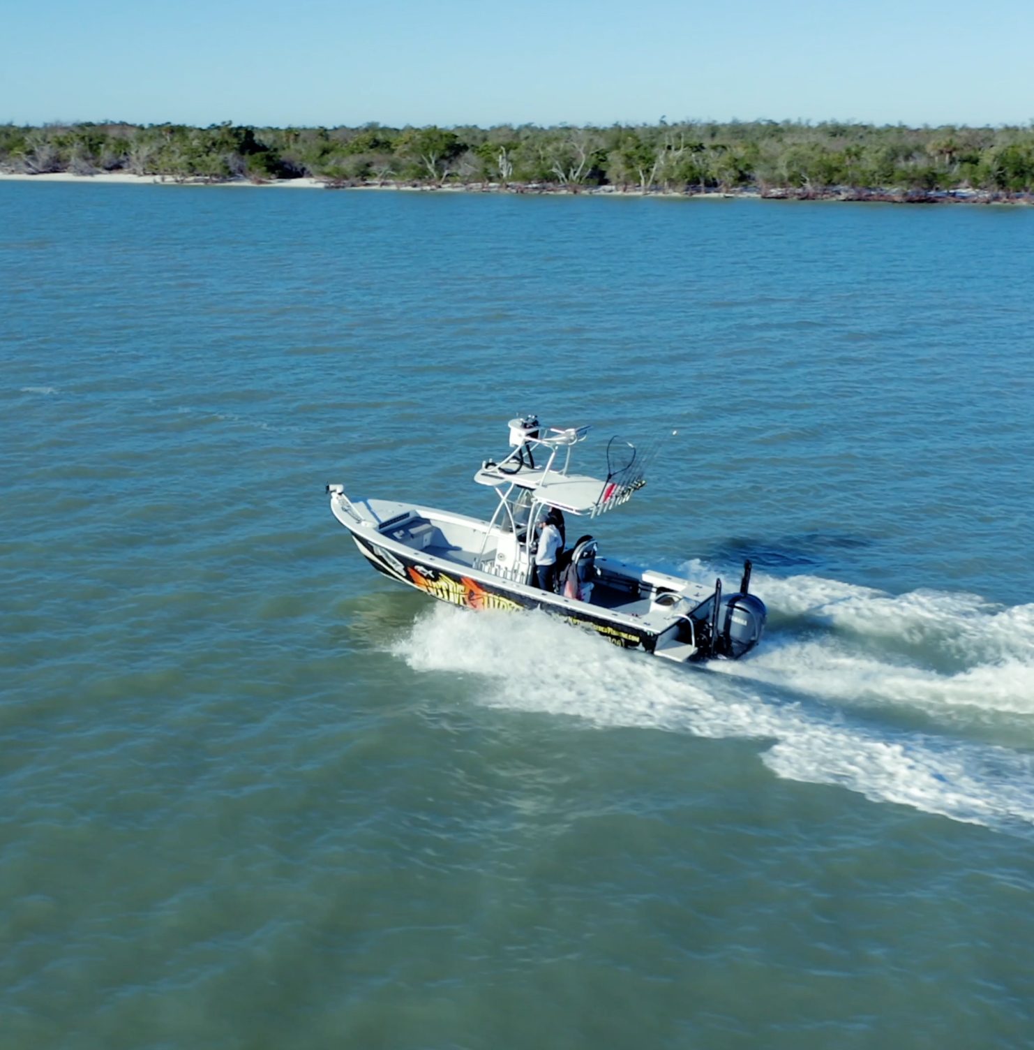 Marco Island Fishing: The Angler's Guide (Updated 2024)