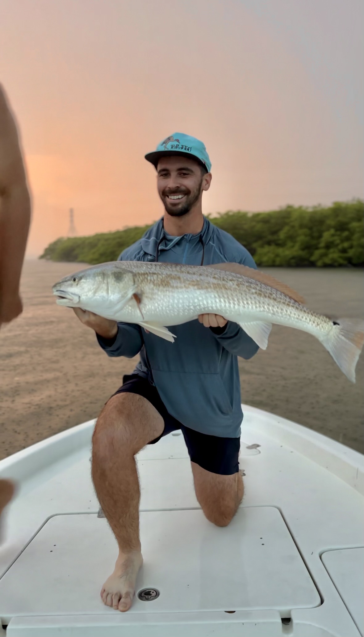 The 10 Most Popular Fish To Catch In Tampa, Florida