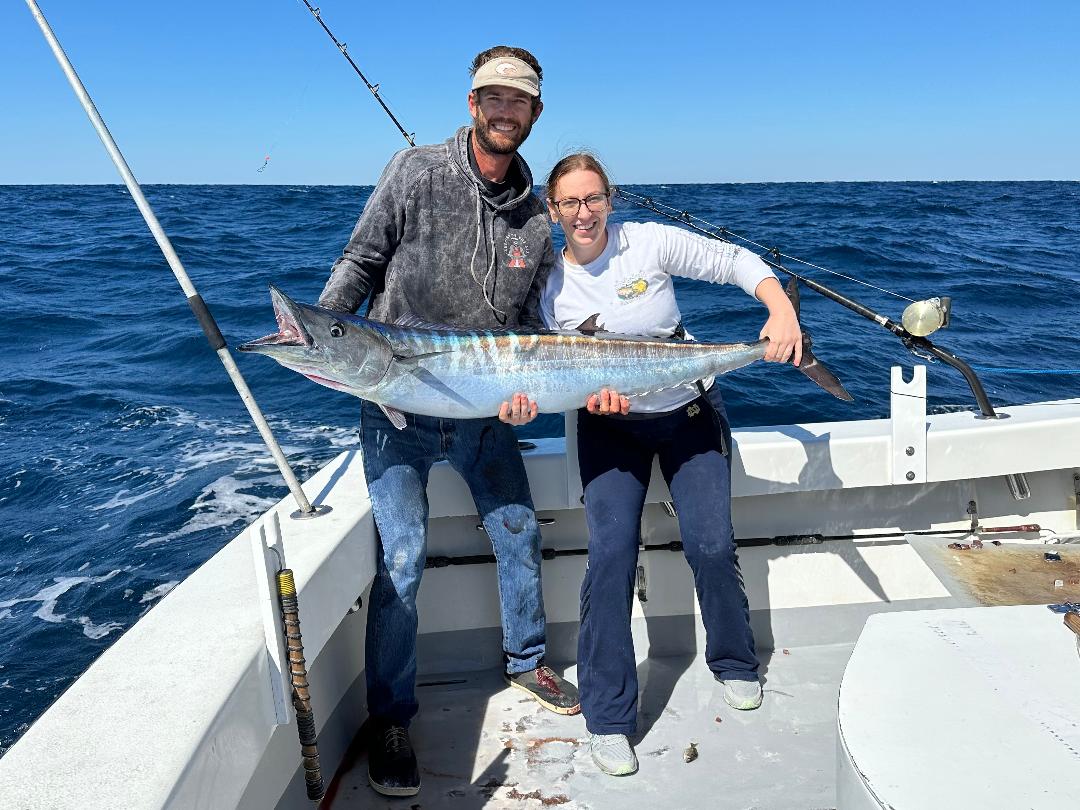 Amberjack Season 2025