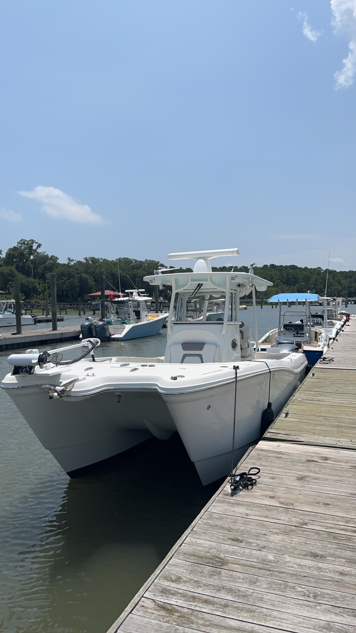 The Difference Between Lesser & Greater Amberjack