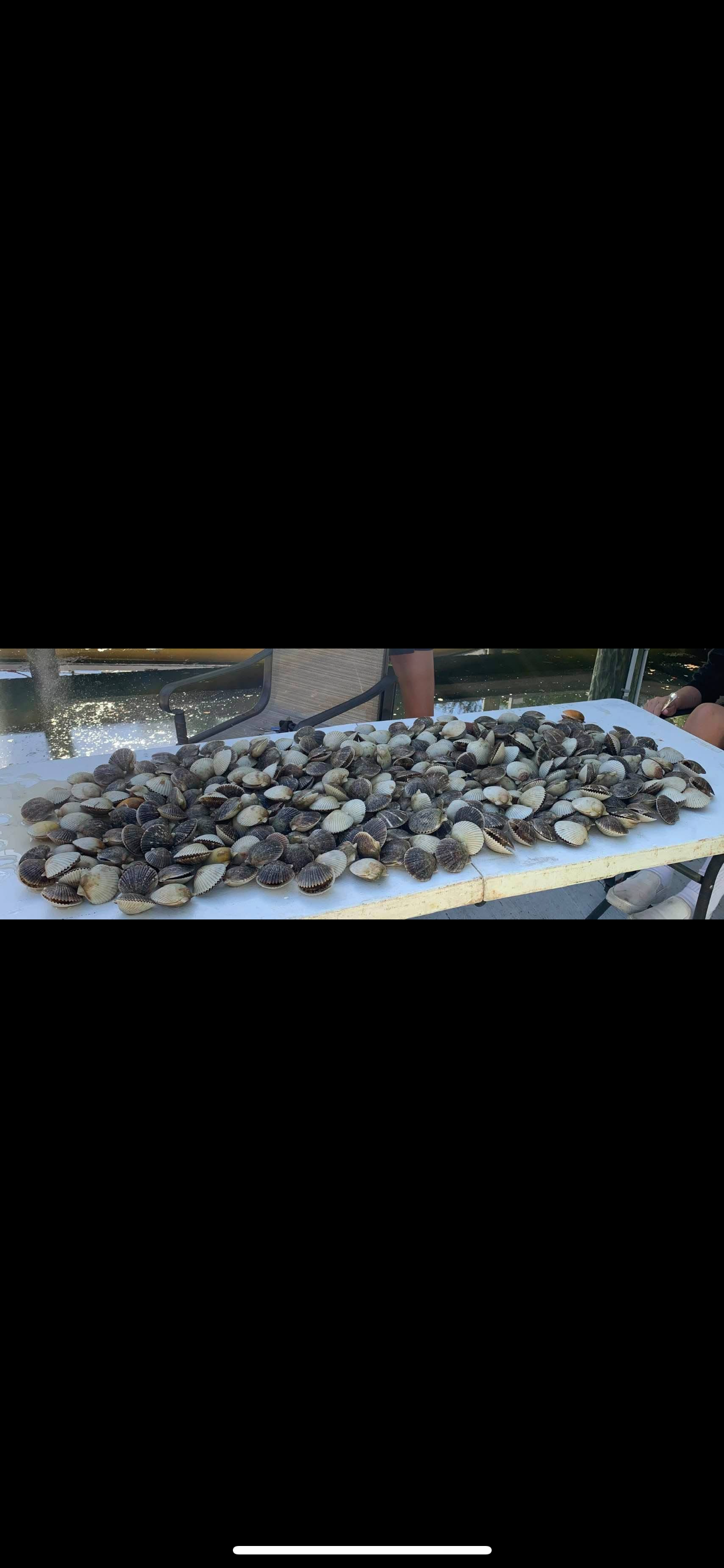 The 15 Best Scallop Fishing Charters in Florida