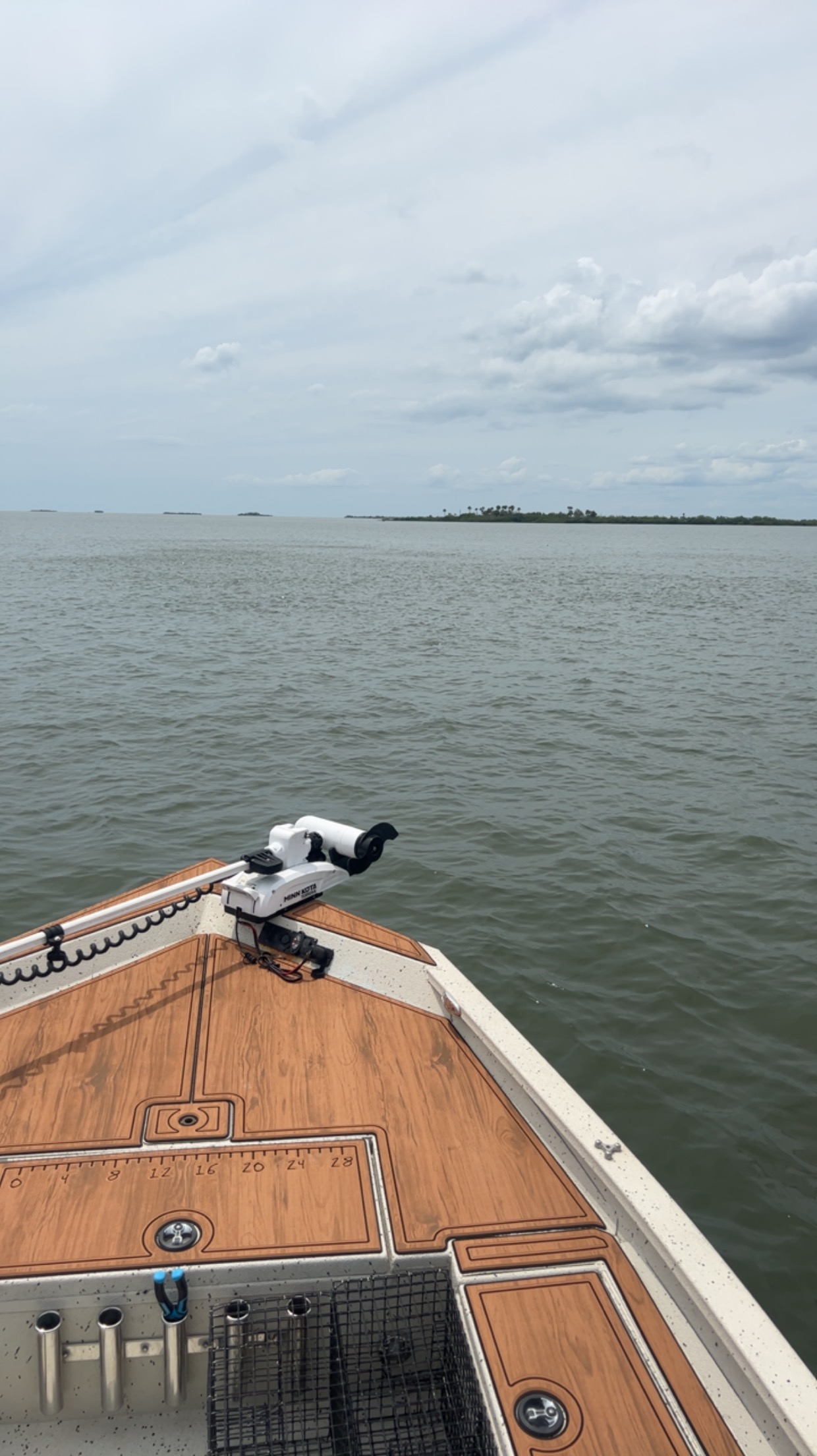 The 15 Best Scallop Fishing Charters in Florida