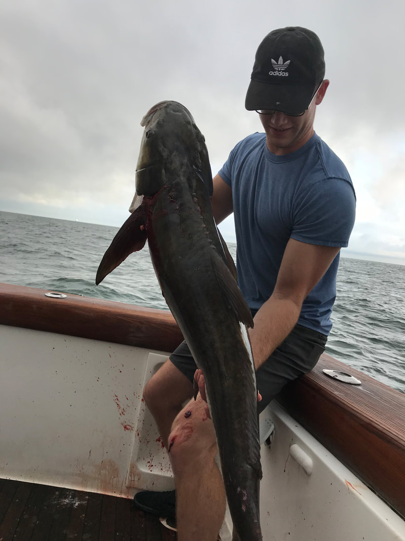 Fishing Rules And Regulations In Virginia Beach