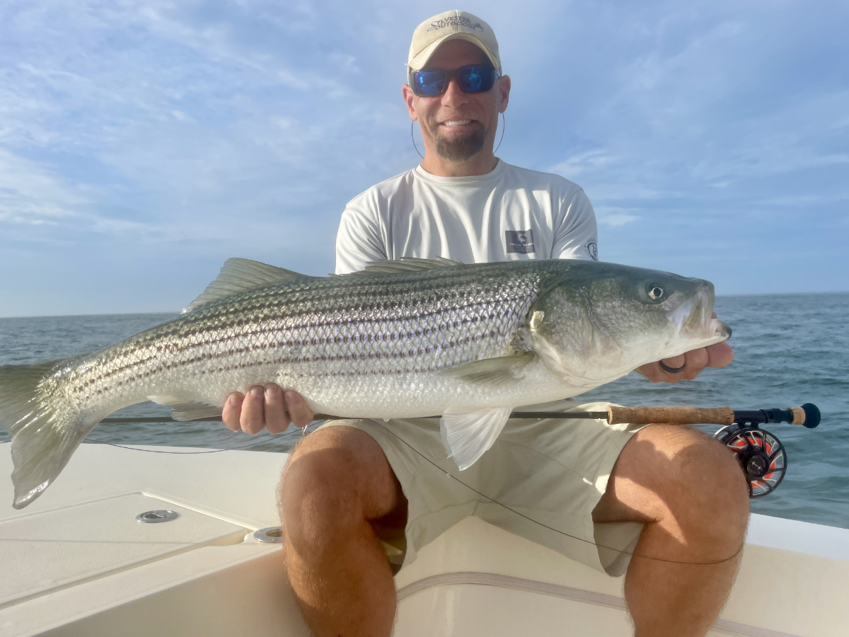 Bluefish Fishing Charters in the Nantucket Sound